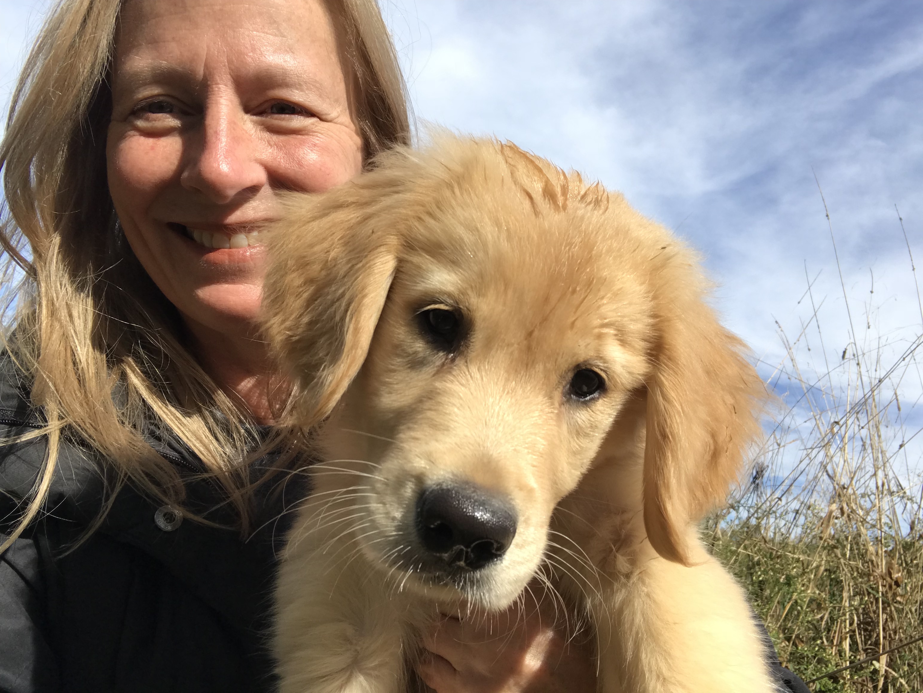 ABOUT – Lorraine Edwards